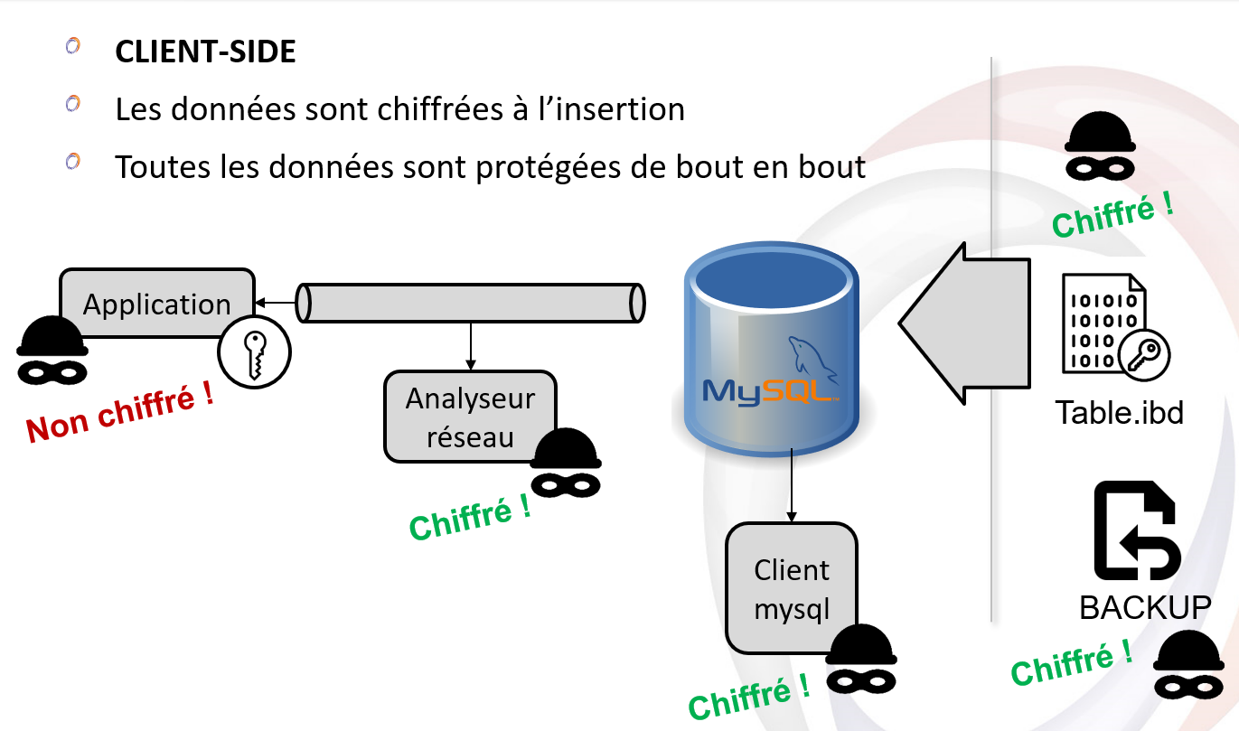 Quelles solutions de chiffrement de données pour MySQL / MariaDB ...