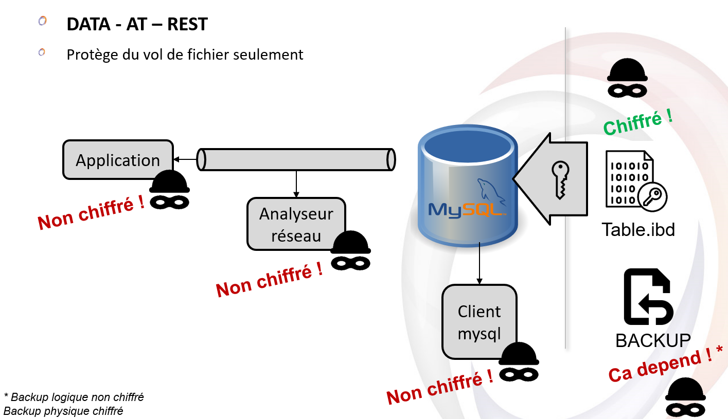 Quelles solutions de chiffrement de données pour MySQL / MariaDB ...